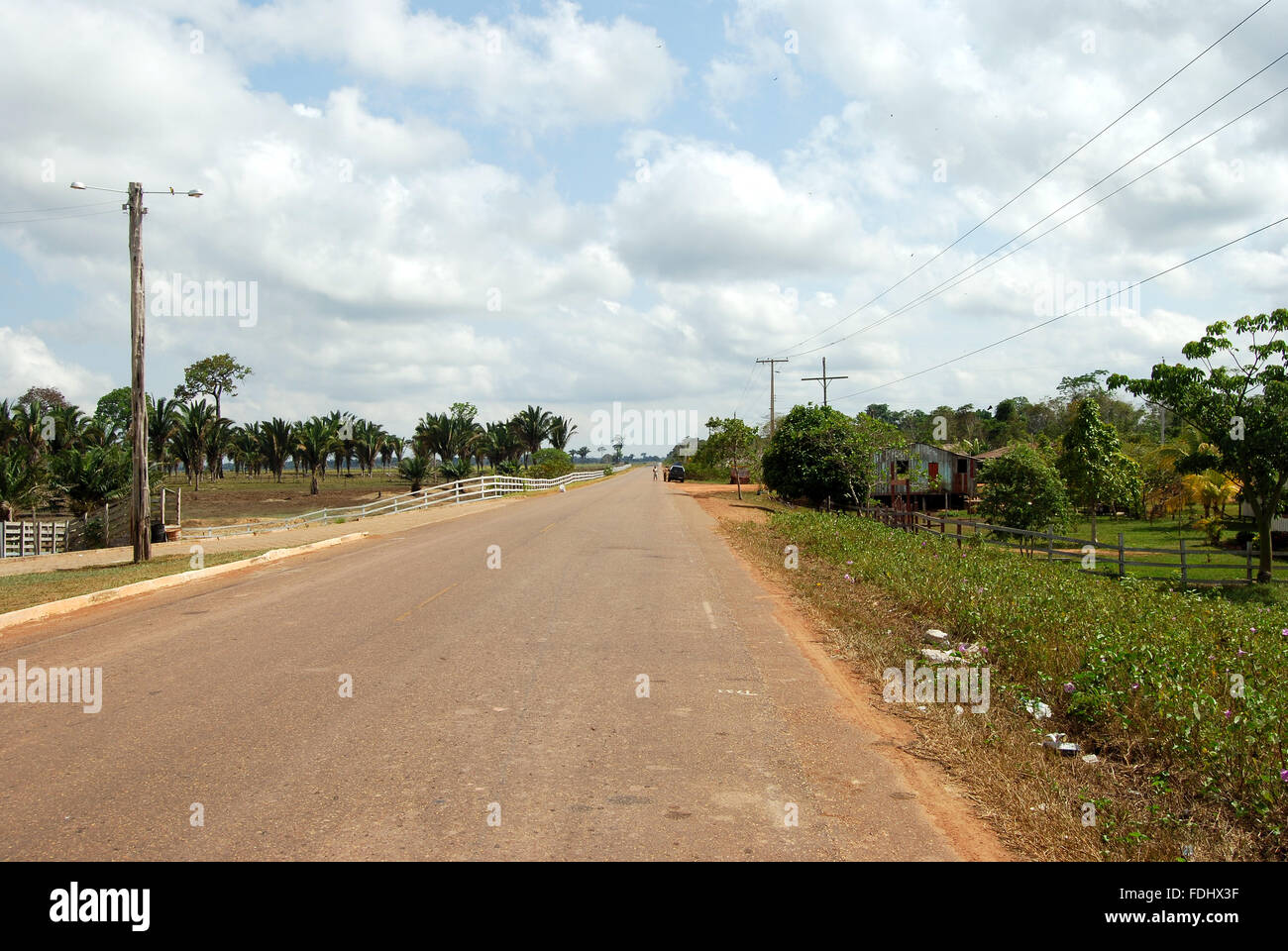 Pan American highway through the Amazon rainforest near Manaus, Brazil ...