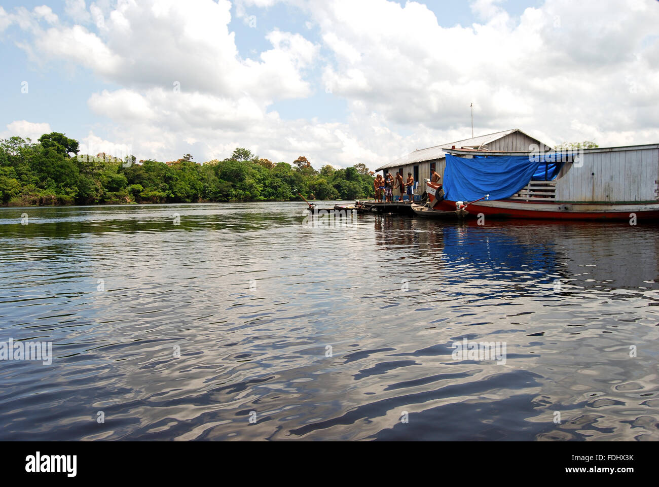 Amazon rainforest - Canoe expedition at the river near Manaus, Brazil ...