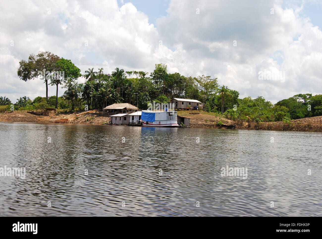 Amazon rainforest: Landscape along the shore of Amazon River near ...