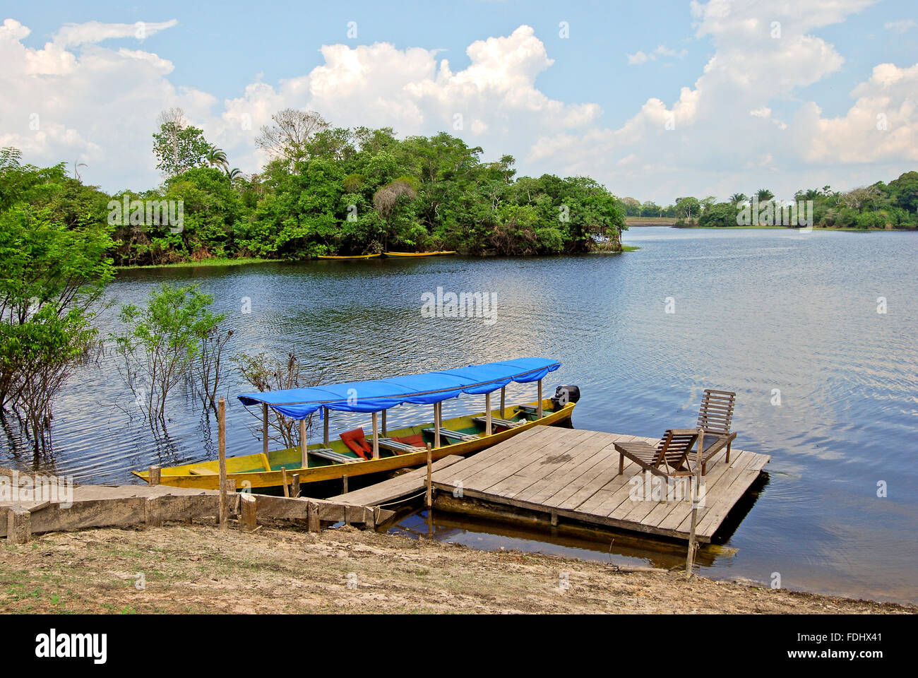 Amazon rainforest - Canoe expedition at the river near Manaus, Brazil ...