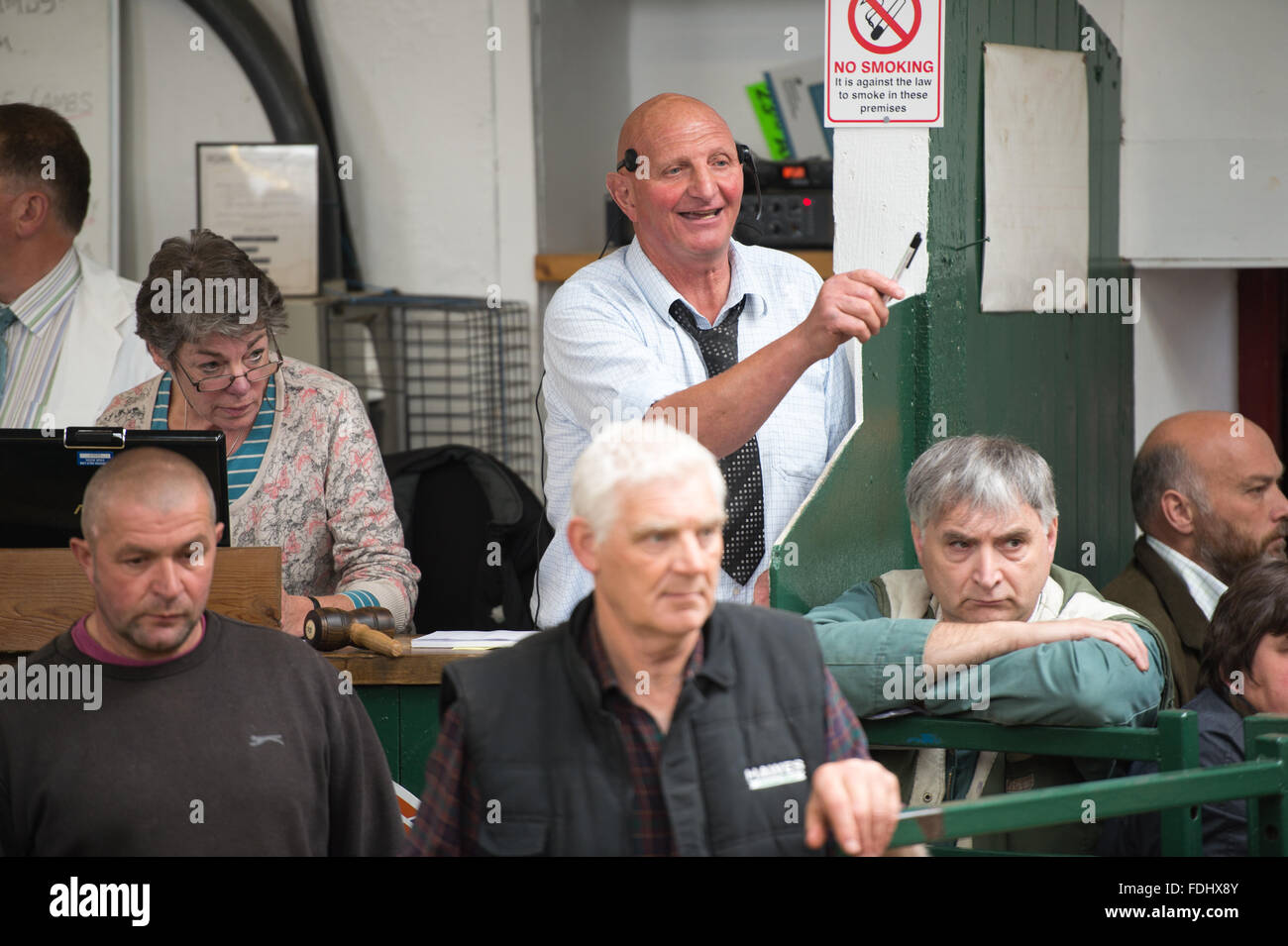 Auctioneer at a Hawes Sheep Auction in Yorkshire, England, UK Stock ...