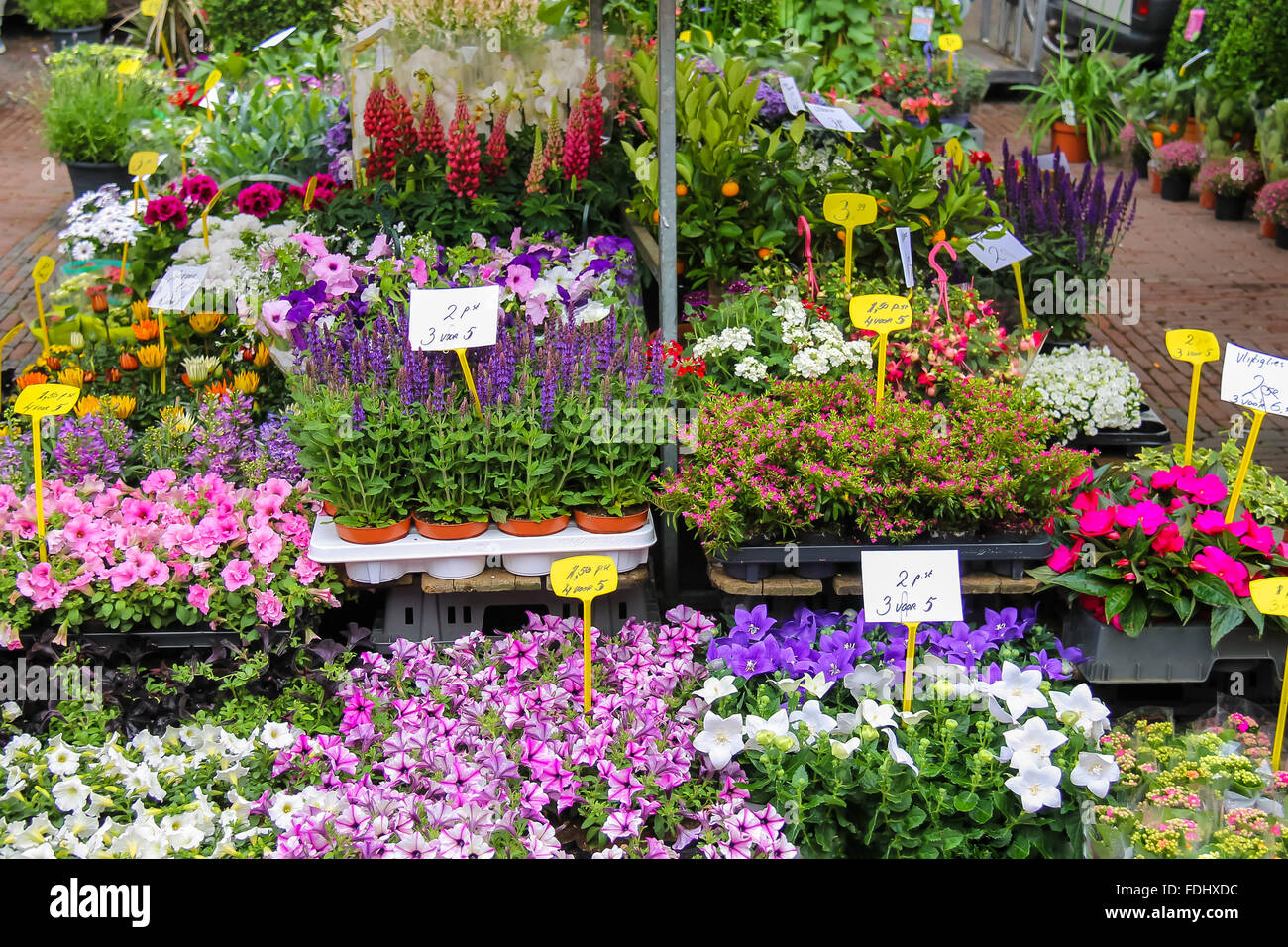 Street flower shop with colorful flowers Stock Photo - Alamy