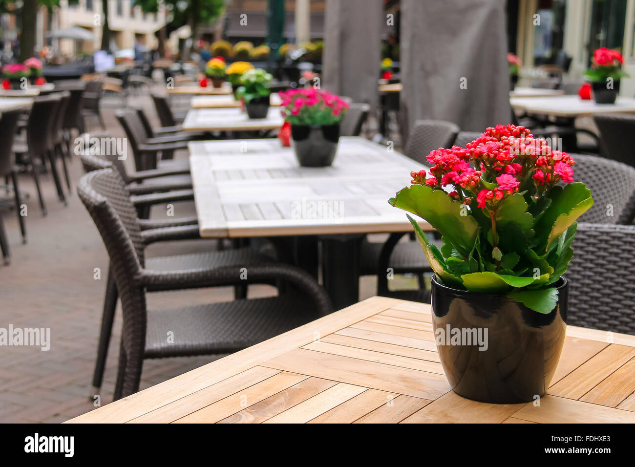 Pots with decorative flowers on the tables of outdoor street cafe Stock ...