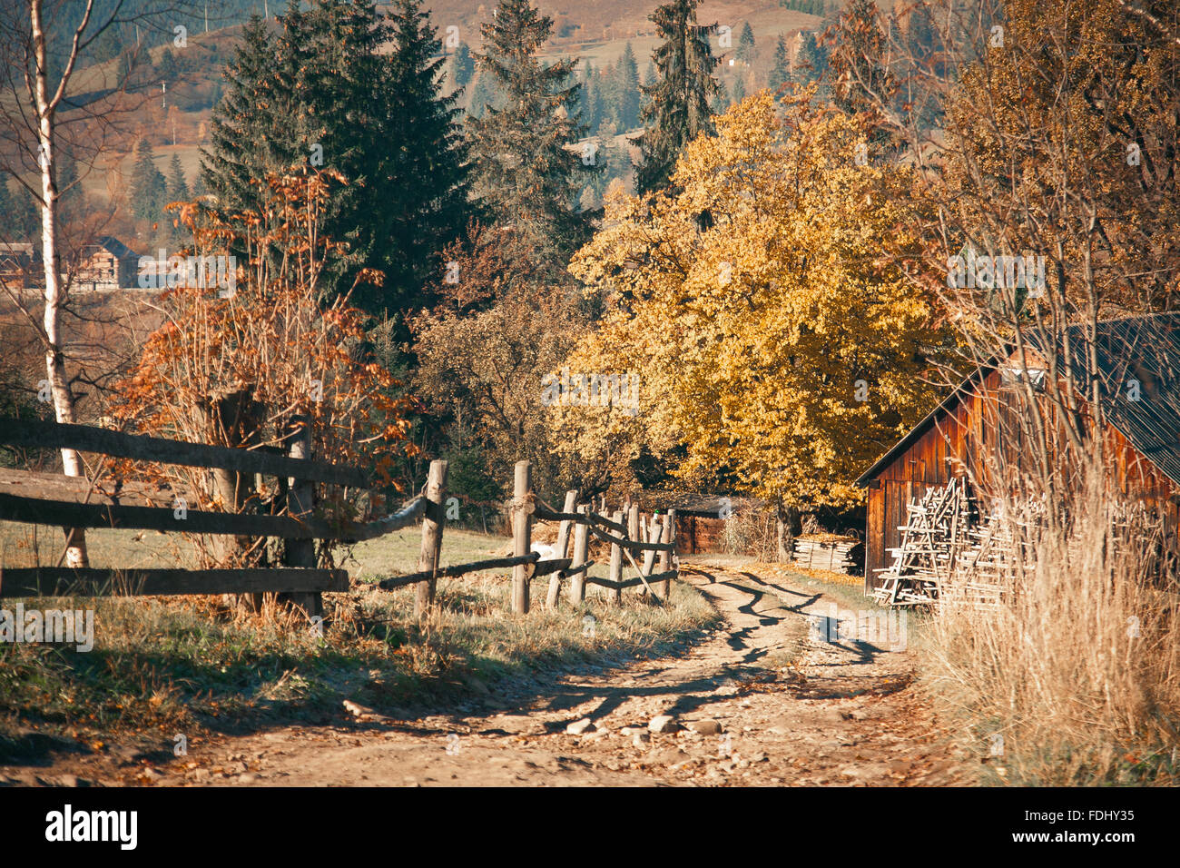 Old house in the woods in a autumn sunny day Stock Photo - Alamy