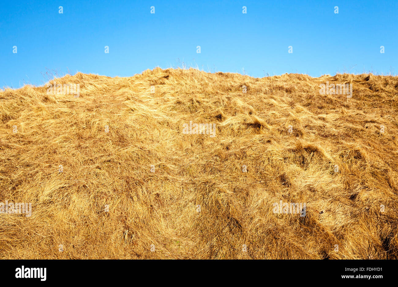 part of the haystack Stock Photo - Alamy
