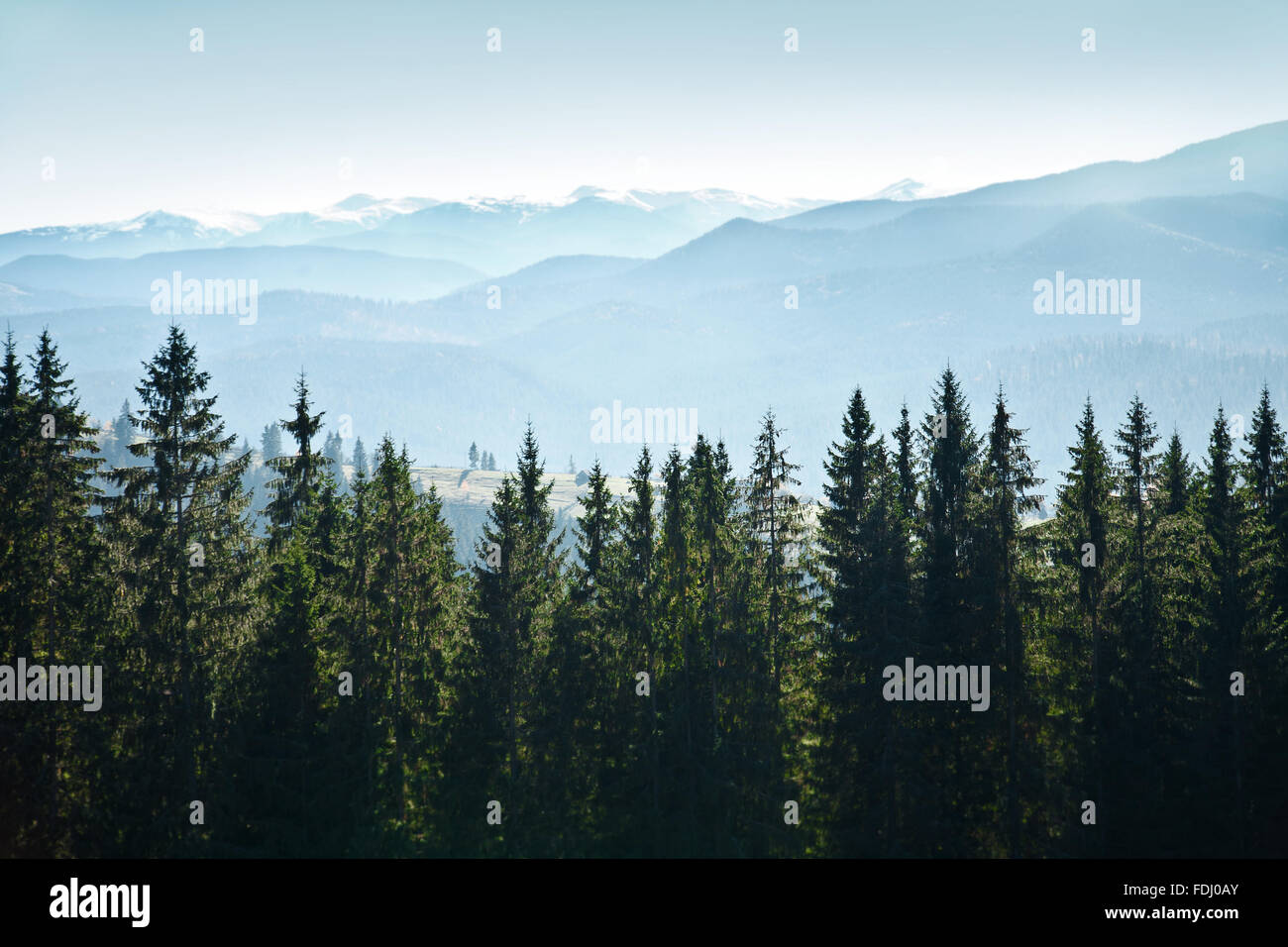 Mountain landscape with trees against the sky Stock Photo - Alamy