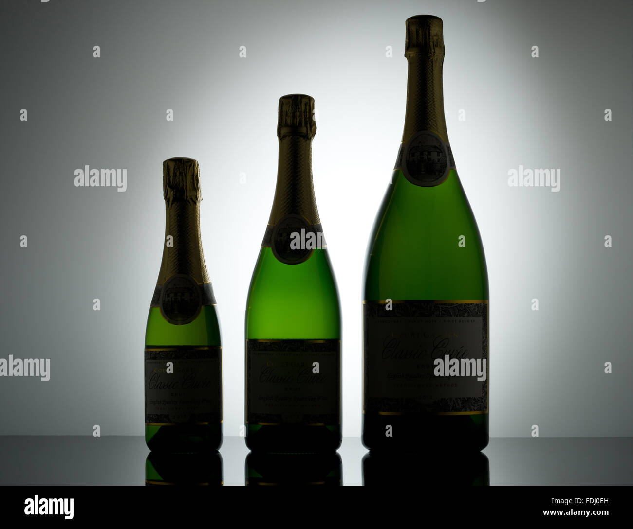Half sized , standard and magnum bottles of Champagne. Three different ...