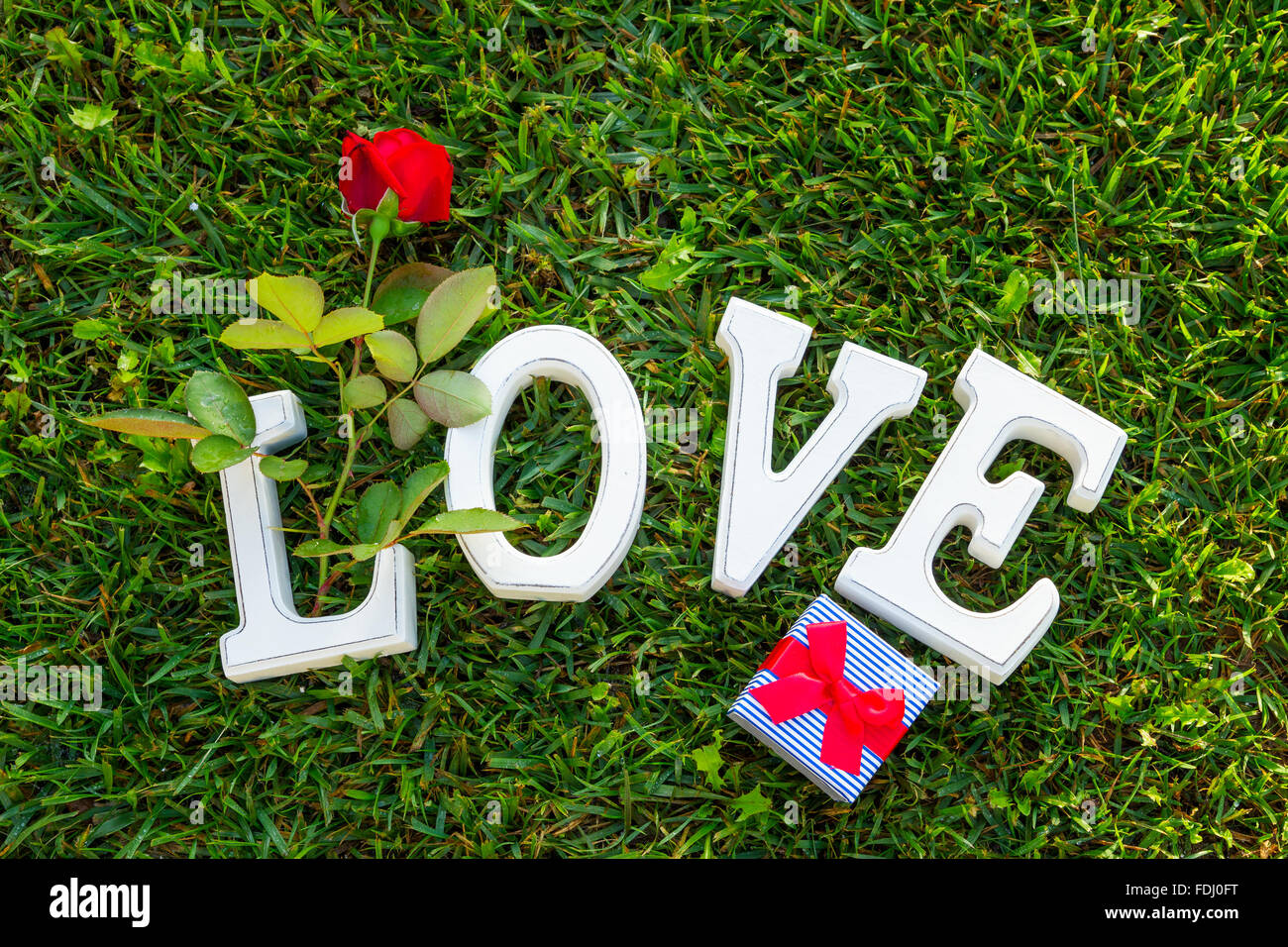 Love sign with rose Stock Photo - Alamy