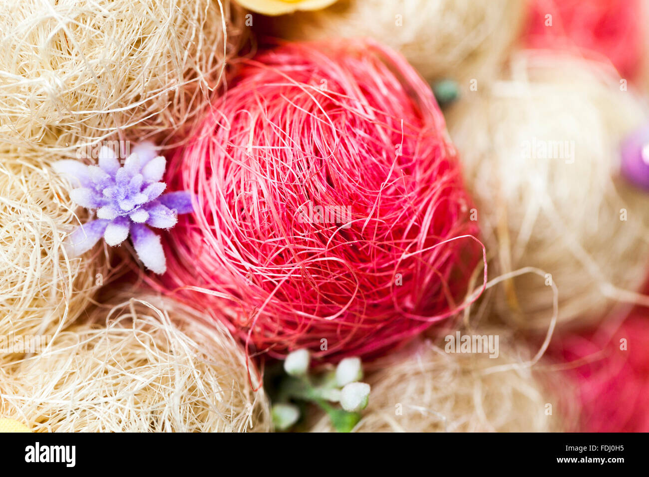 Sisal tree hi-res stock photography and images - Alamy