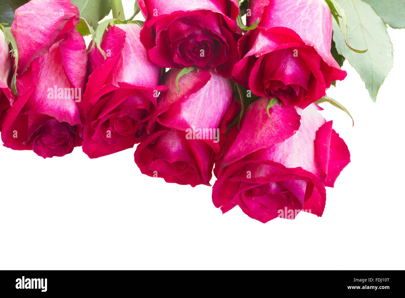 pile of pink roses Stock Photo - Alamy