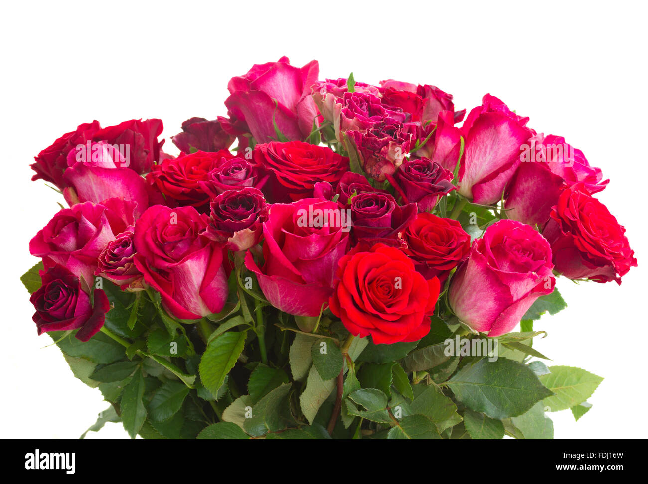 Border of red and pink roses Stock Photo - Alamy