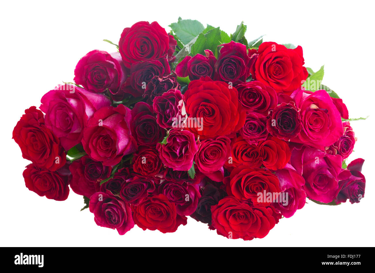 Border of red and pink roses Stock Photo - Alamy