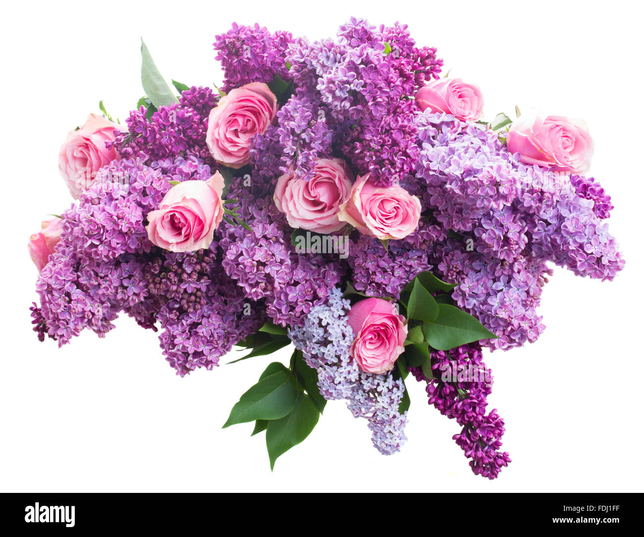 Lilac flowers with roses Stock Photo - Alamy