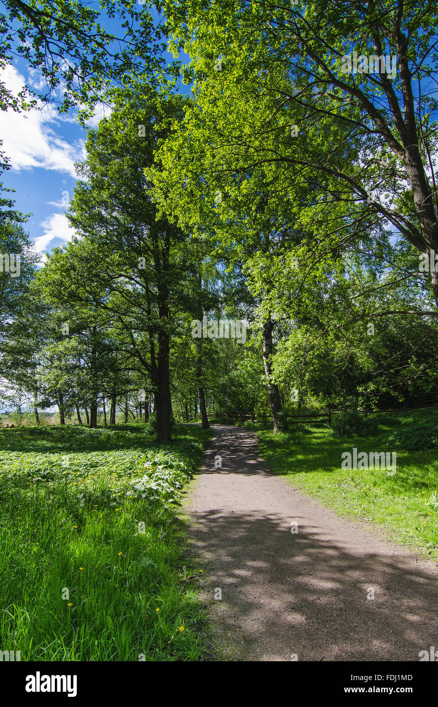 Sunny park with trail Stock Photo - Alamy