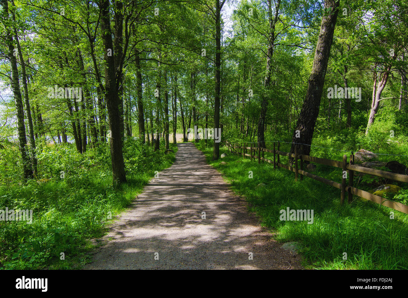 Sunny park with trail Stock Photo - Alamy