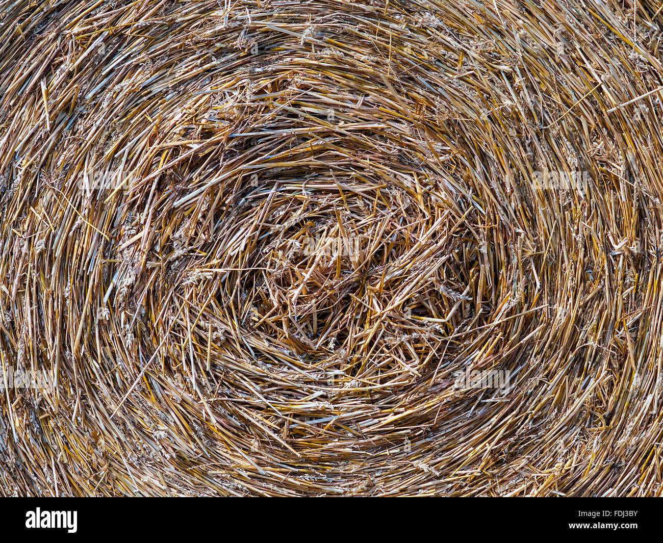 Wheat straw hi-res stock photography and images - Alamy