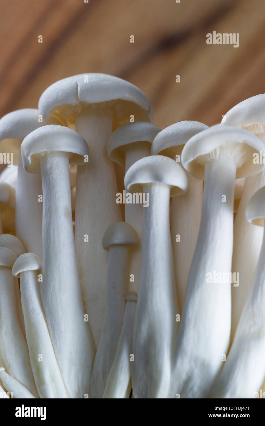 Close up of a cluster of raw organic white bunapi mushrooms Stock Photo ...