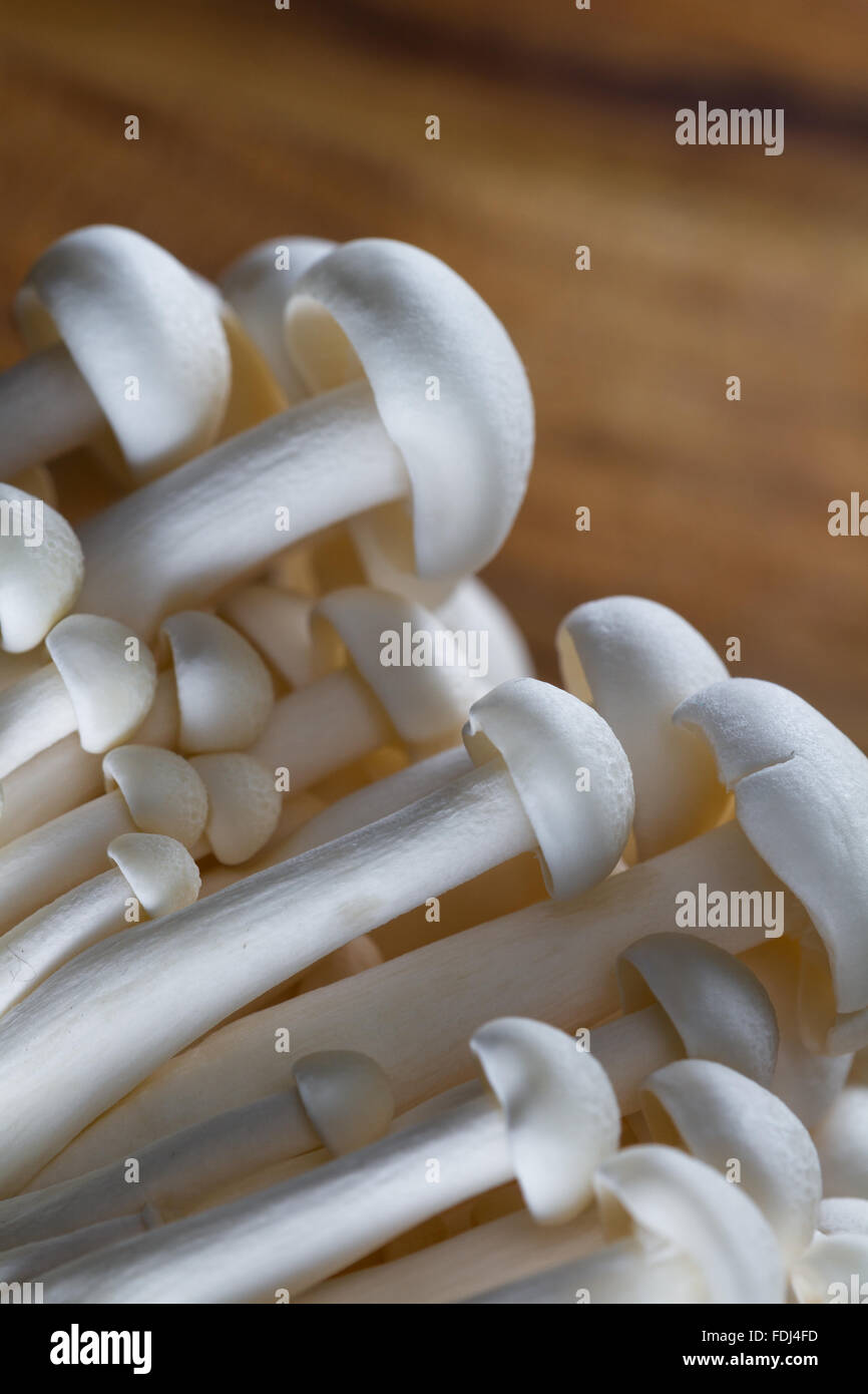 Close up of a cluster of raw organic white bunapi mushrooms Stock Photo ...