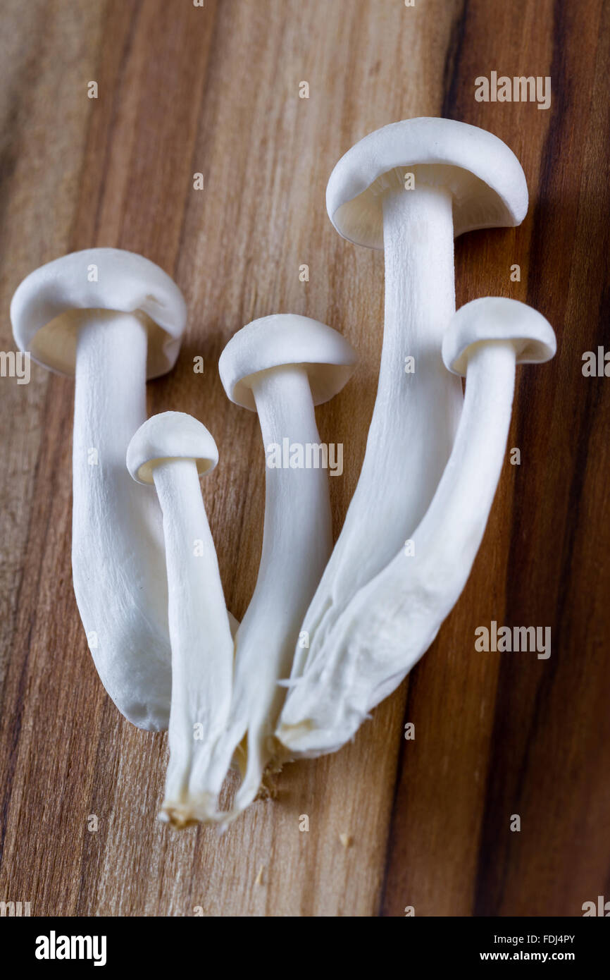 Close up of a cluster of raw organic white bunapi mushrooms Stock Photo ...