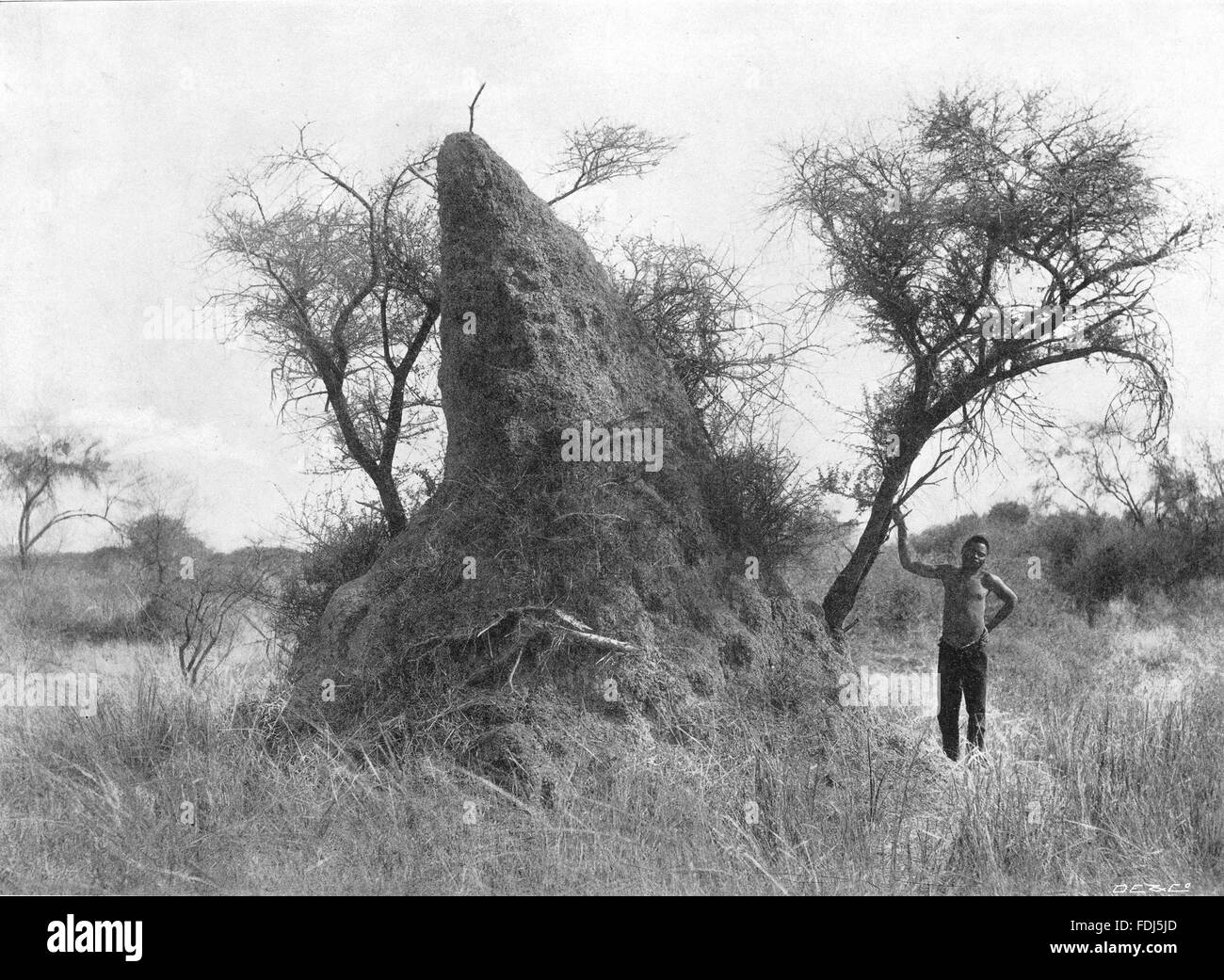 Mashonaland hi-res stock photography and images - Alamy