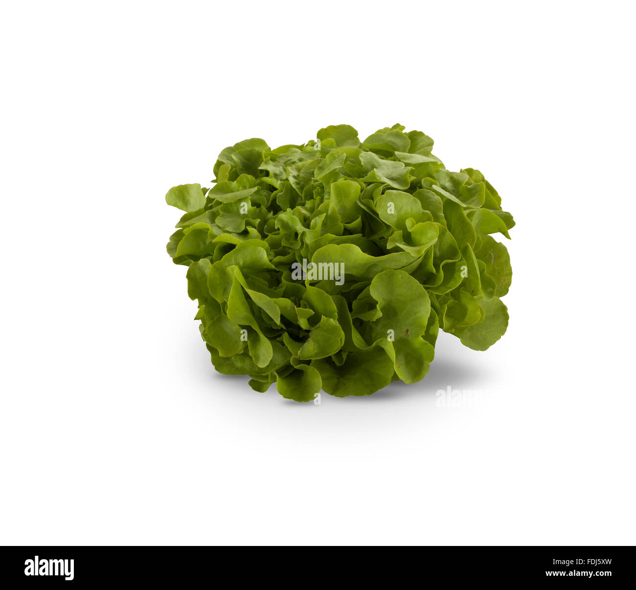 lettuce isolated on white background Stock Photo - Alamy