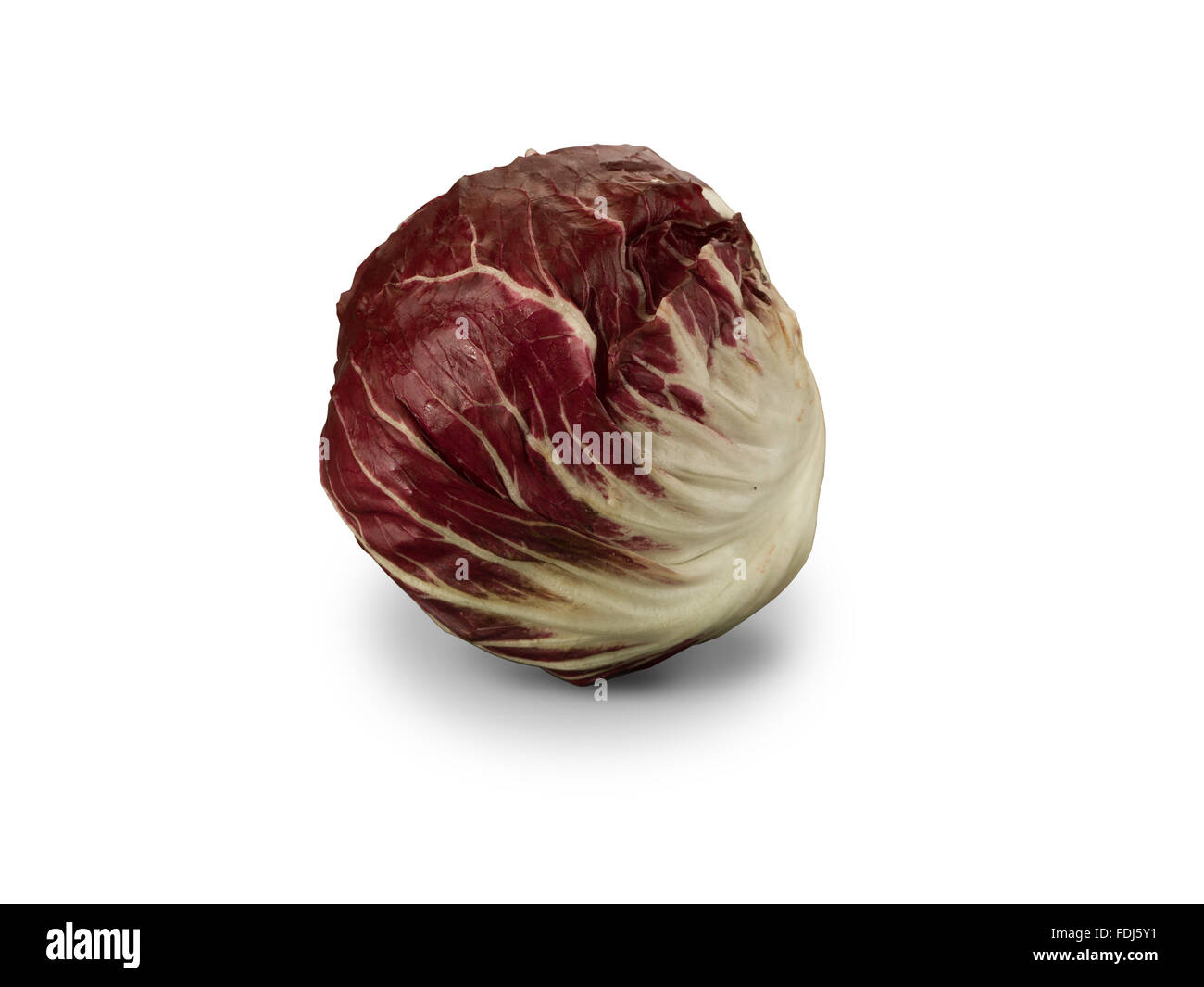 Little gem lettuce plant hi-res stock photography and images - Alamy