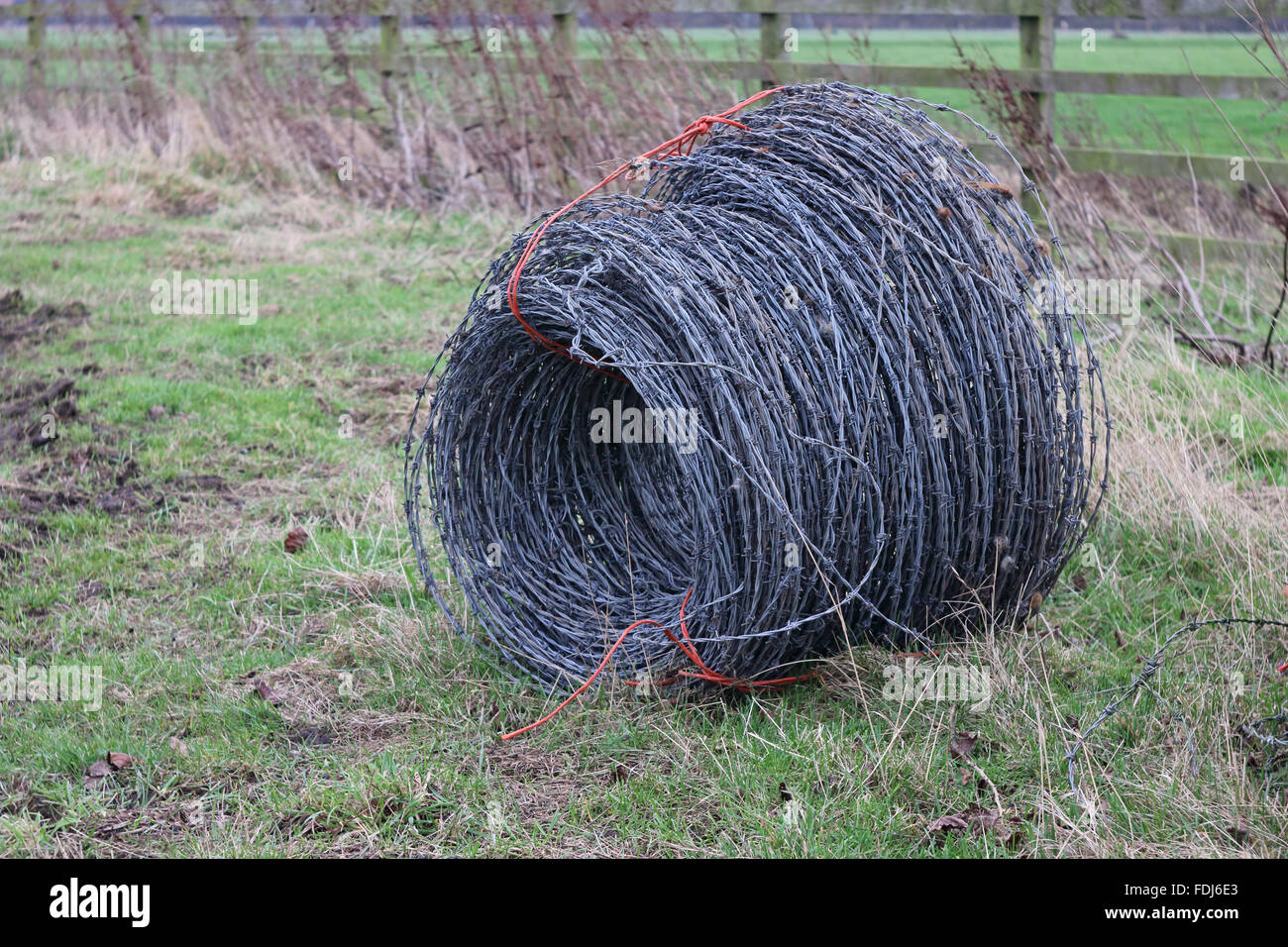 Rolled up barbed wire tied with baling twine in field ready to be used ...