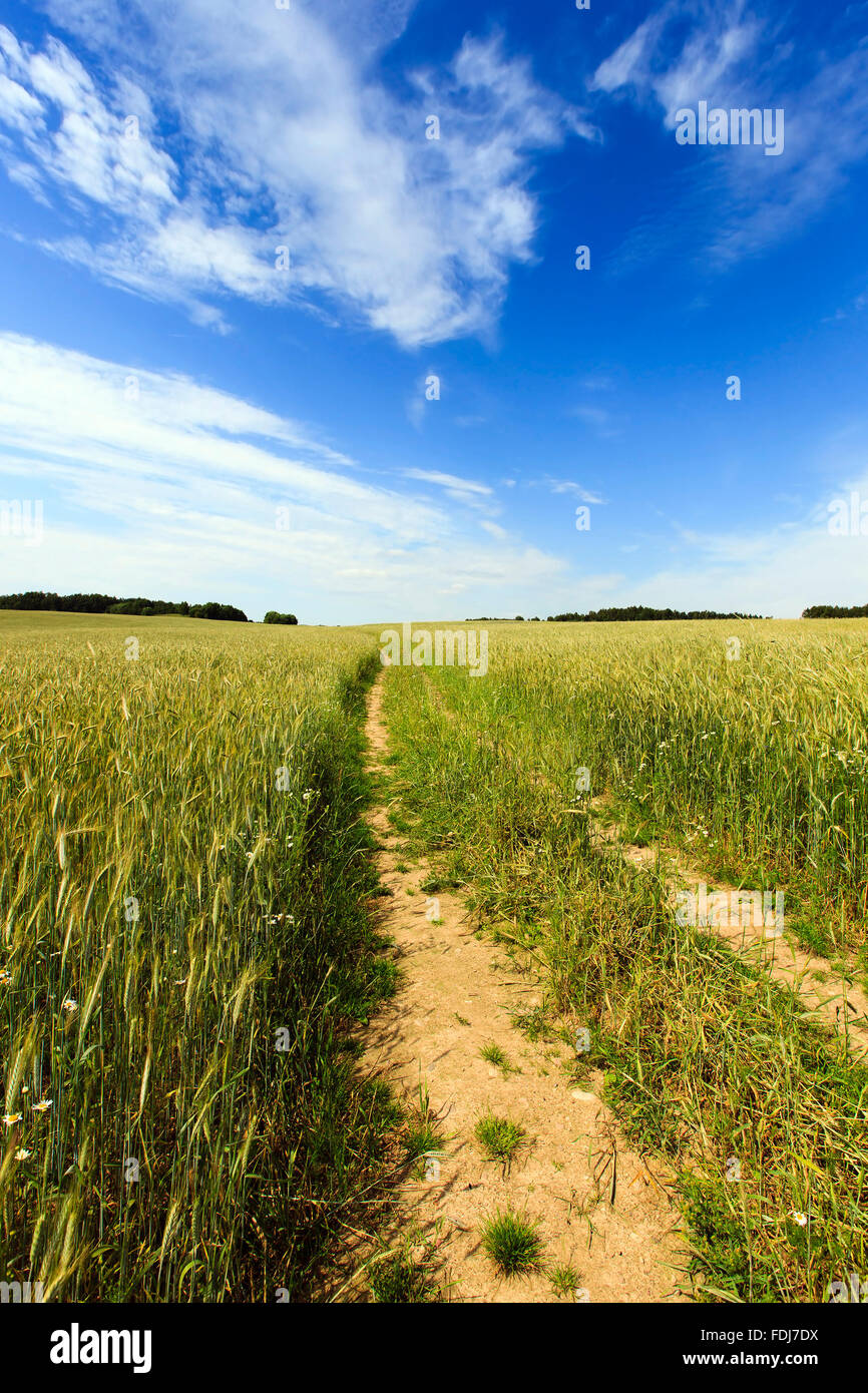 Non paved road hi-res stock photography and images - Alamy