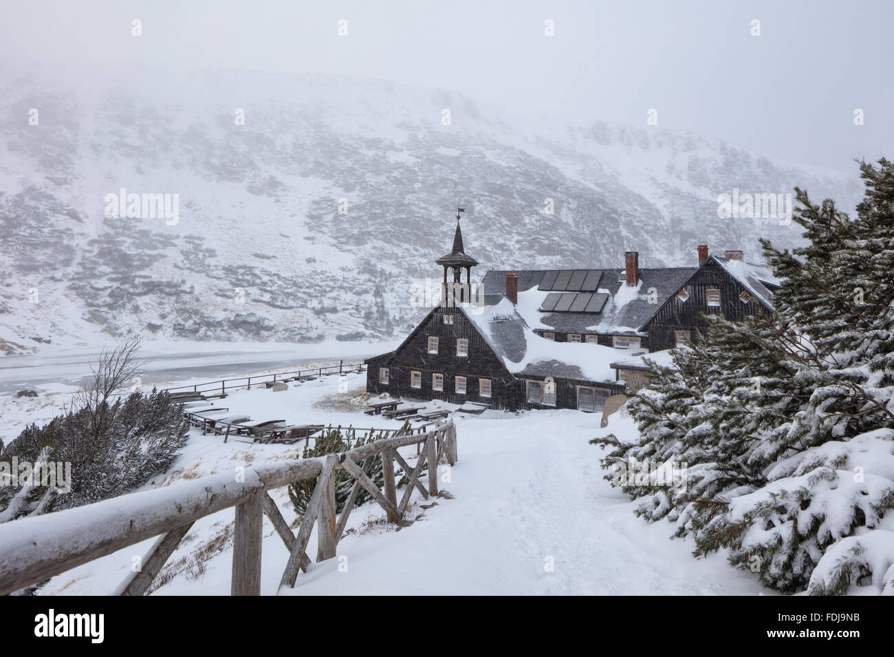 Winter snowy background Stock Photo - Alamy