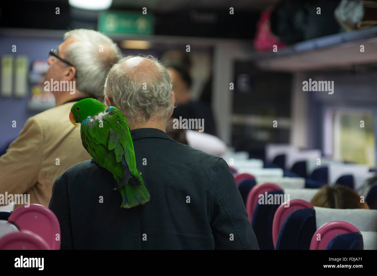 Man with a parrot on his shoulder exiting a train in London Stock Photo ...