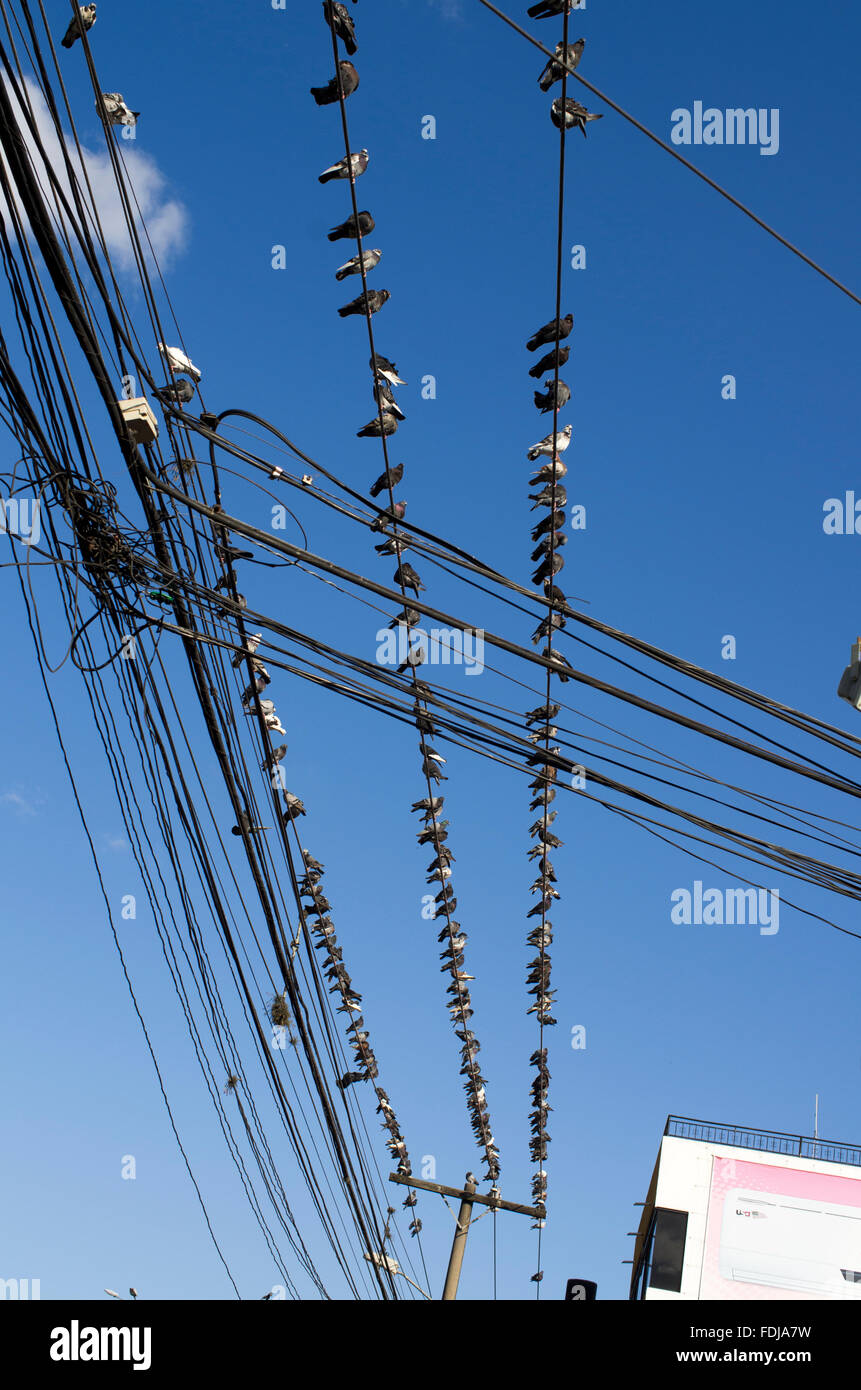 Tangled wires home hi-res stock photography and images - Alamy