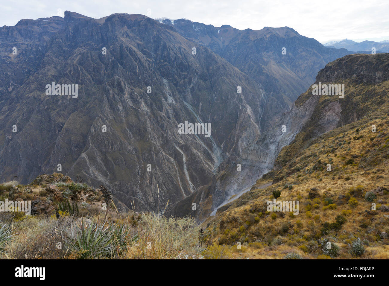Colca Canyon, Peru Stock Photo - Alamy