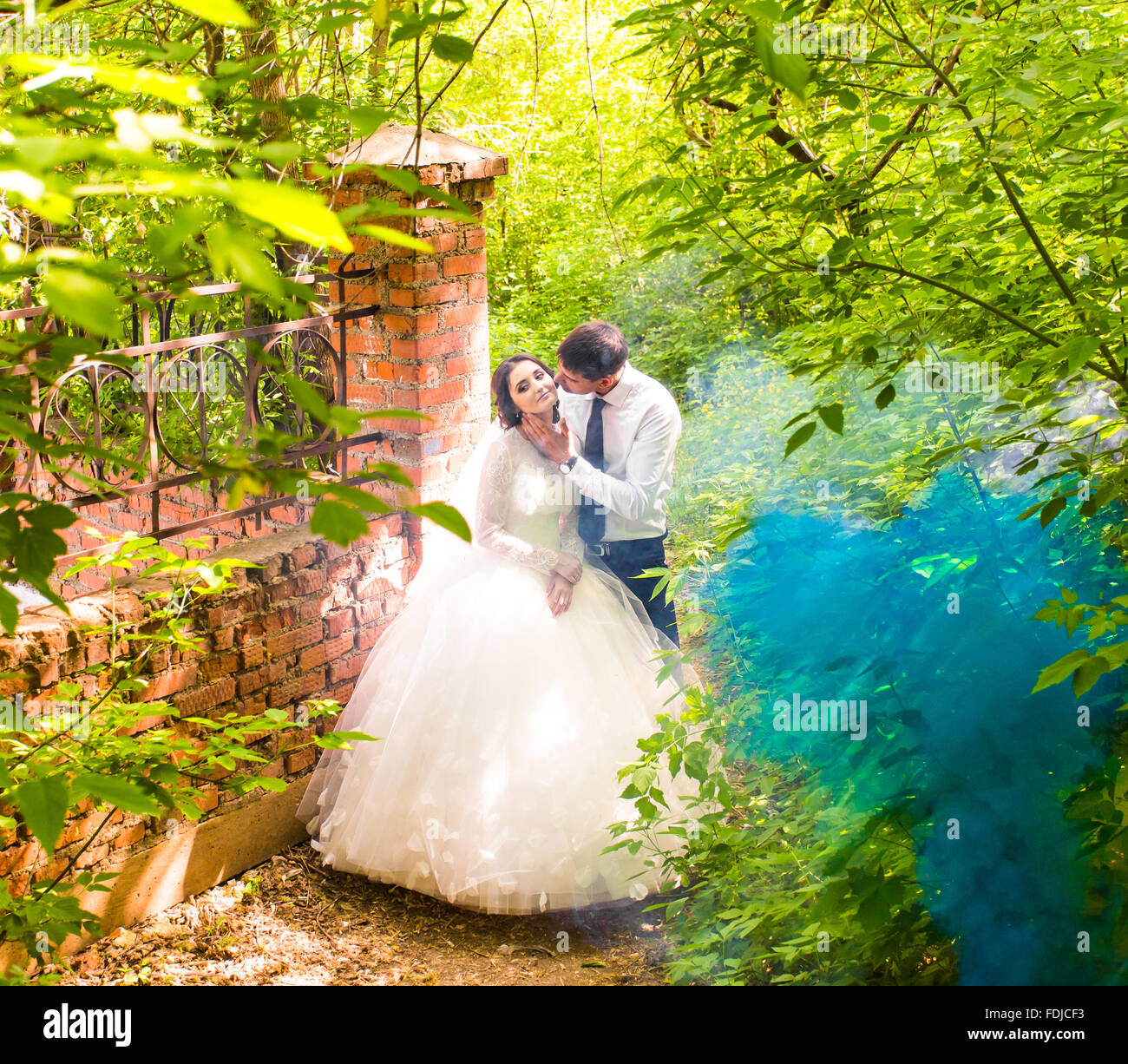 Wedding in the park. Blue Fog Stock Photo - Alamy