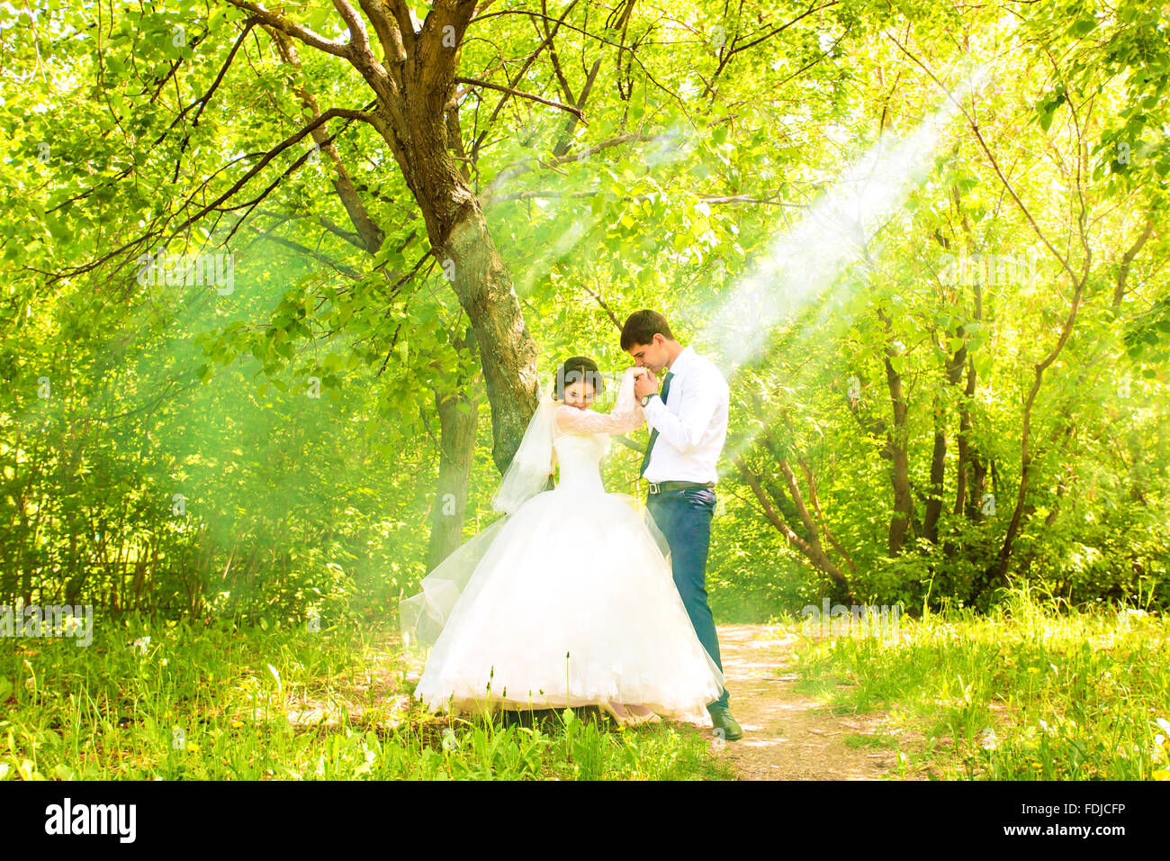Wedding in the park. Fog Stock Photo - Alamy