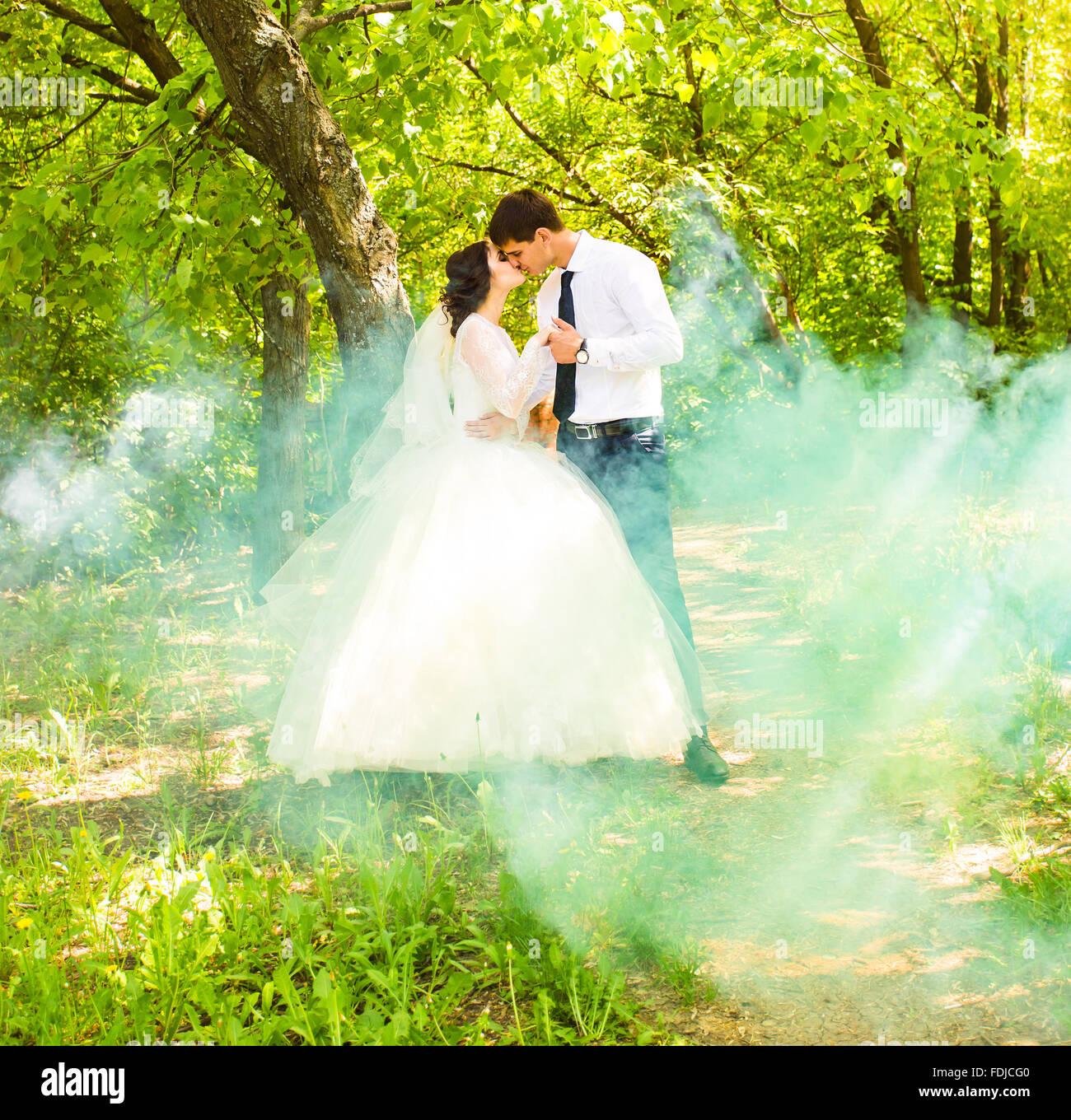 Wedding in the park. Fog Stock Photo - Alamy