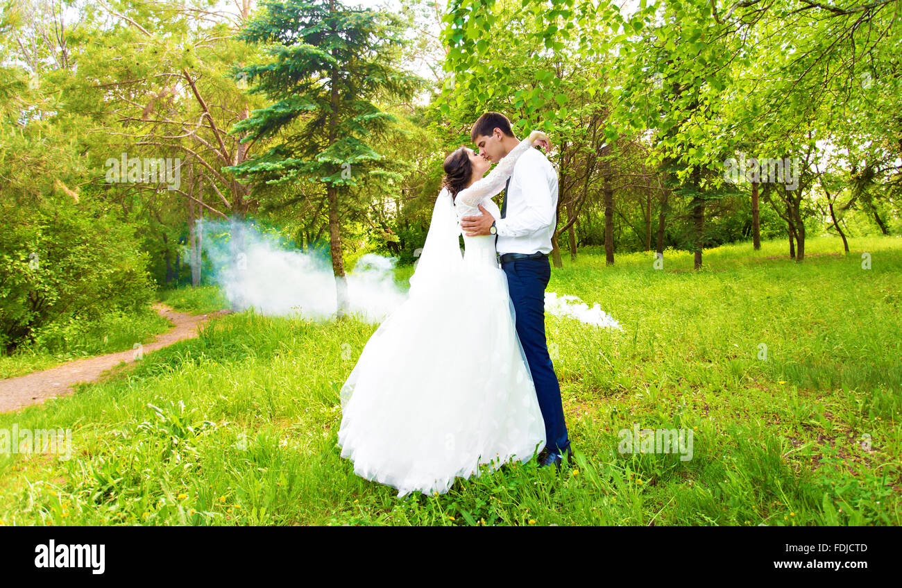 Wedding in the park. Fog Stock Photo - Alamy