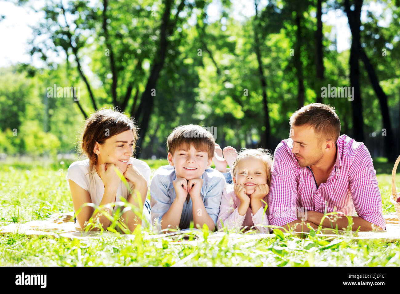 Happy family having weekend in summer park Stock Photo - Alamy