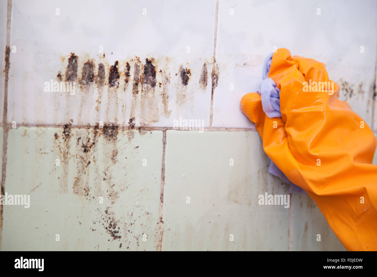 washing dirty tiles Stock Photo - Alamy