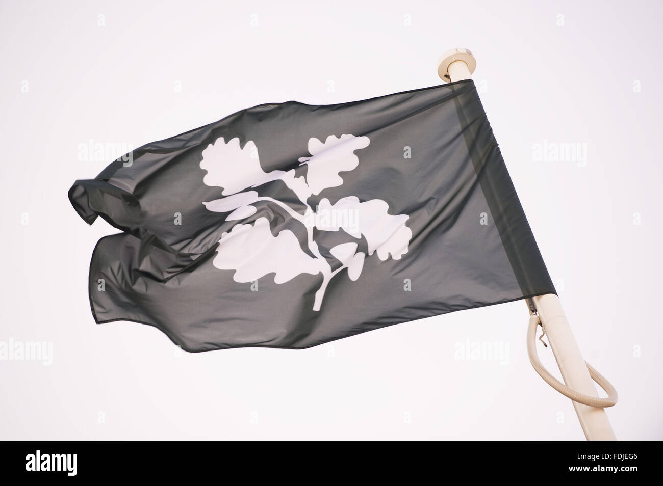 NT logo flag at The National Trust Annual General Meeting, held at the ...