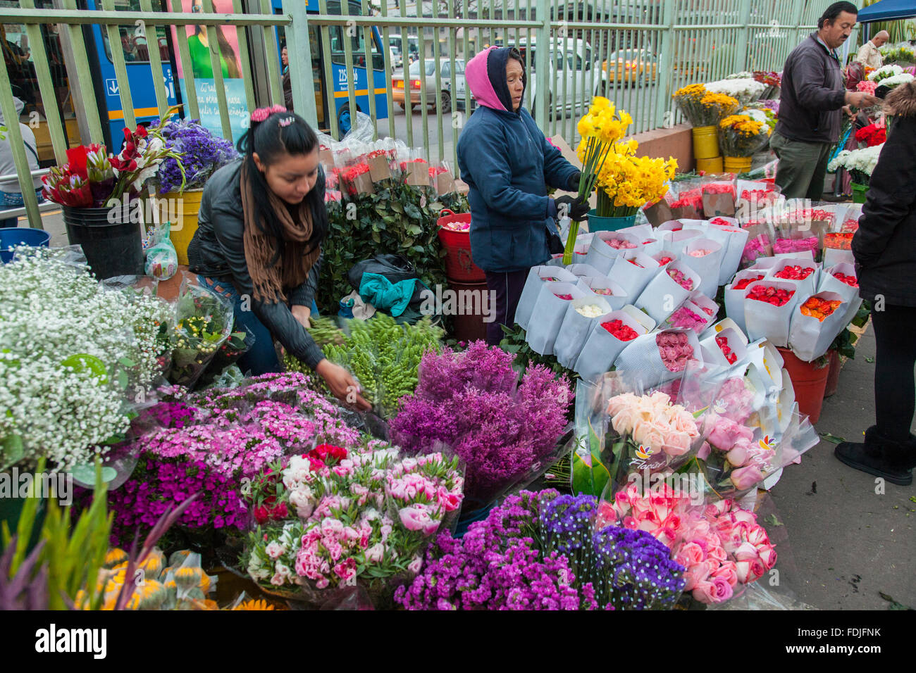 Flowers at Paloquemao farmers flower market in Bogota, Colombia, South ...