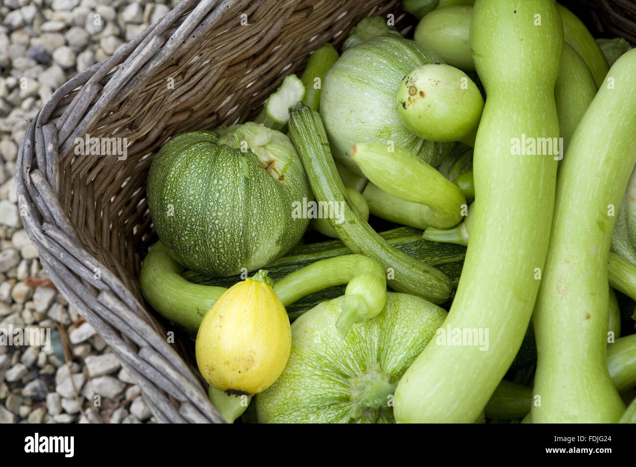 Homegrown courgettes uk hi-res stock photography and images - Alamy