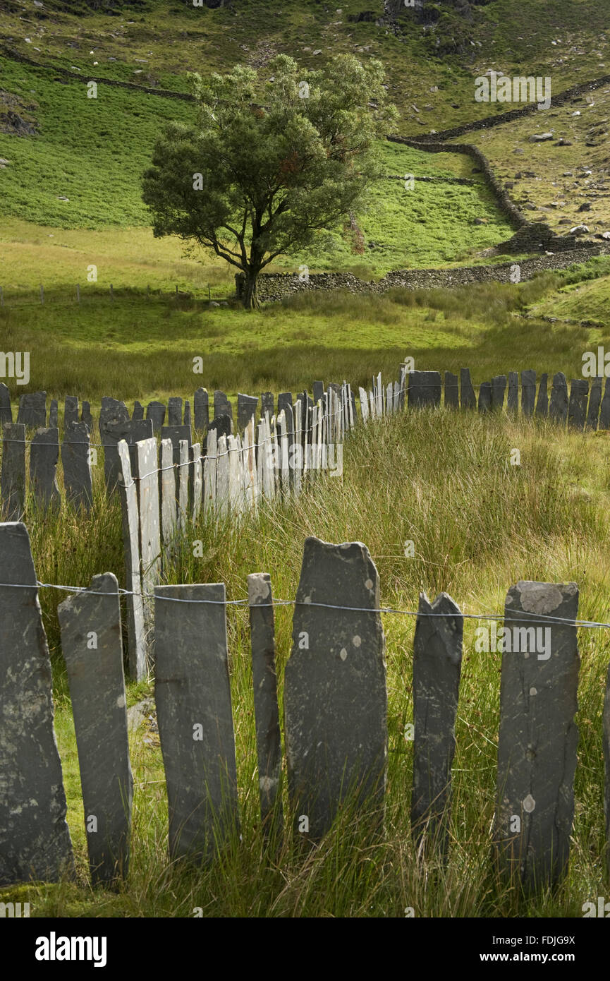 Fencesjcorni hi-res stock photography and images - Alamy