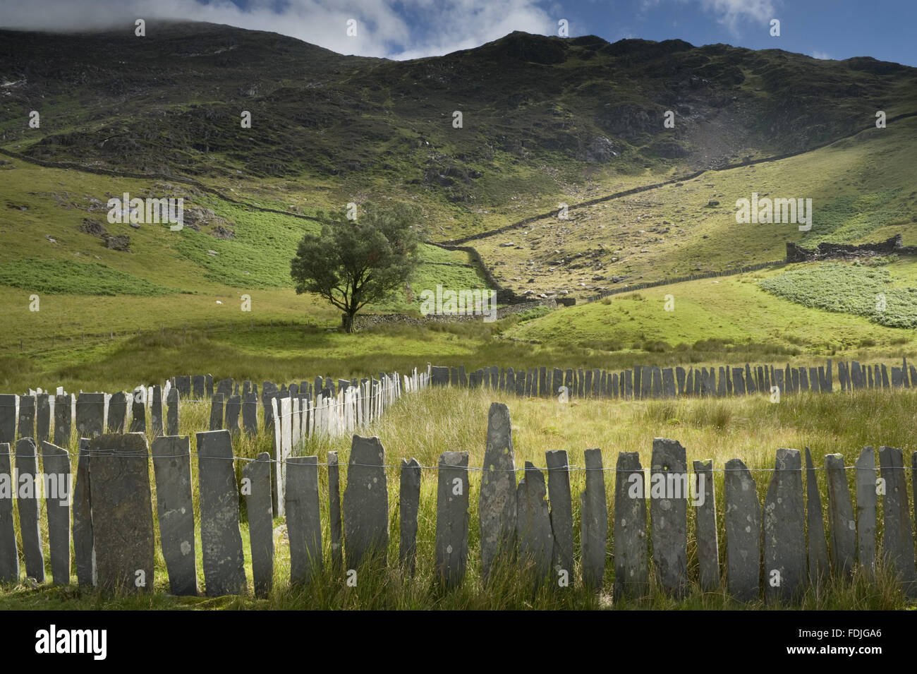 Traditional slate fence at Cwm Llan on Hafod Y Llan farm, Snowdonia ...