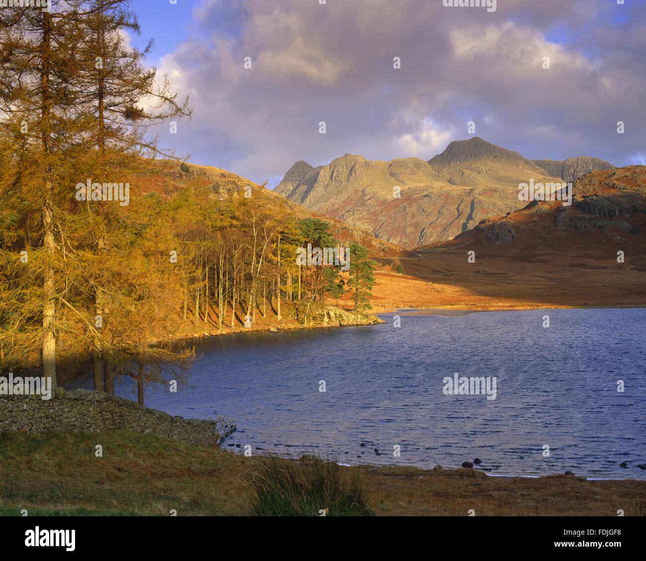 Autumn at Blea Tarn, on the Blea Tarn Farm estate which is 9 miles west ...