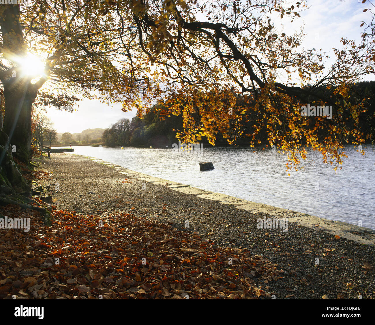 Autumn leaves frame a tranquil scene at Fell Foot Park, on the shores ...