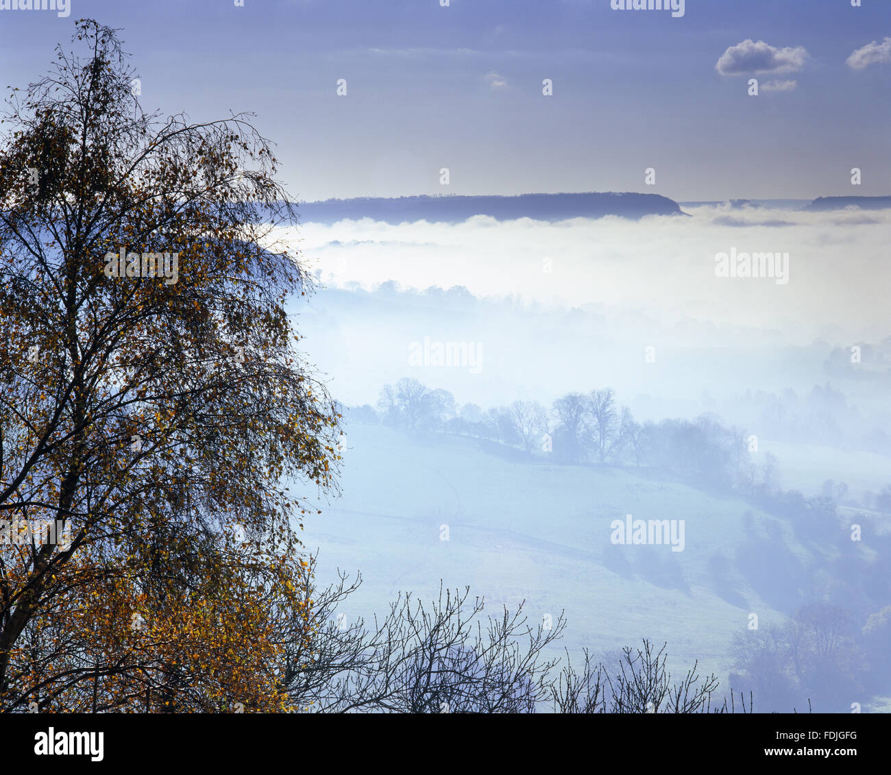Low-lying mist at Haresfield Beacon, near Stroud, Gloucestershire Stock ...