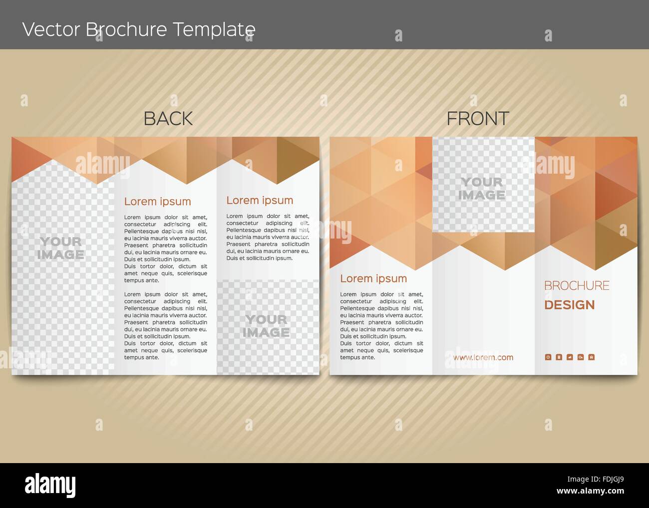 Vector template for leaflet Stock Vector Image & Art - Alamy