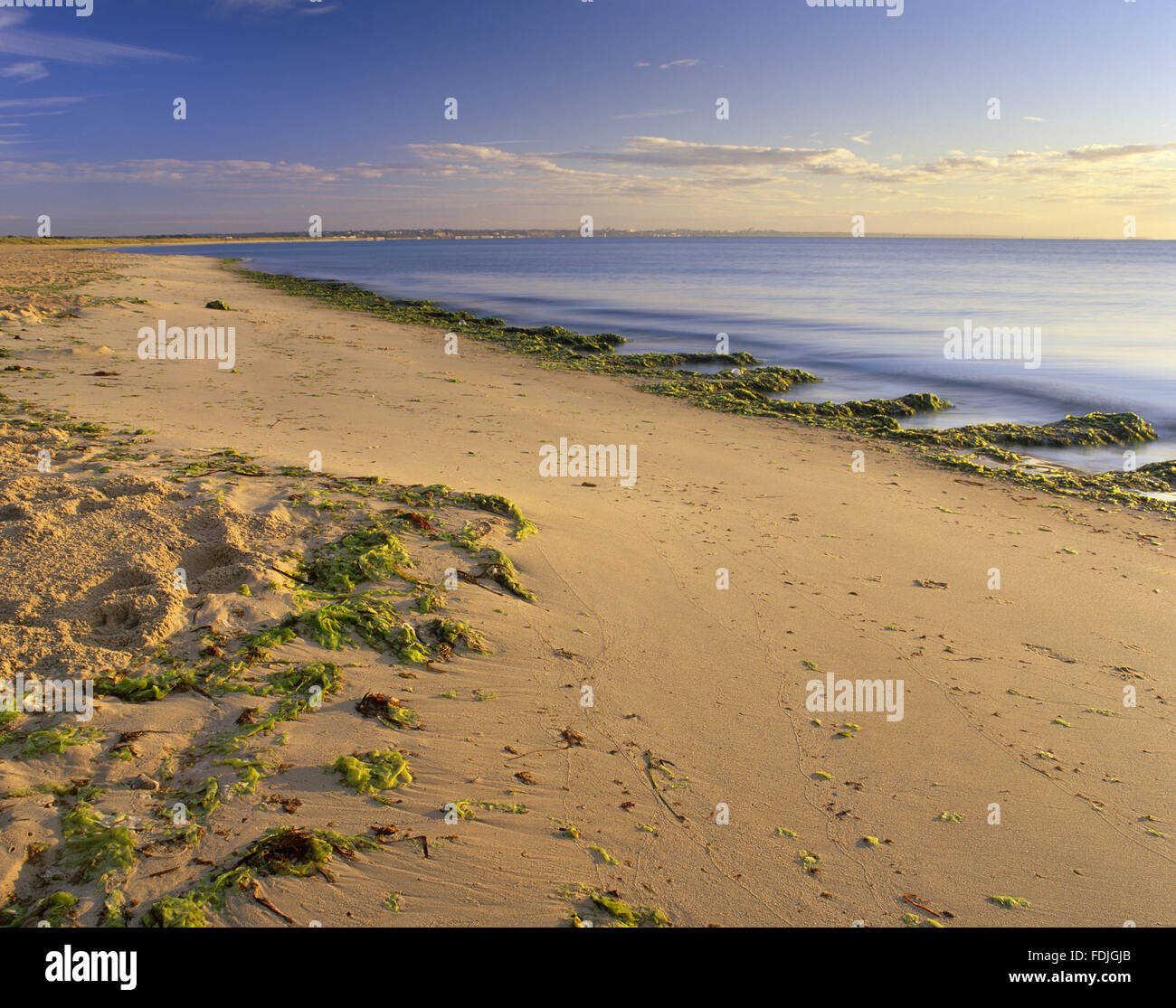 Uk knoll beach hi-res stock photography and images - Alamy