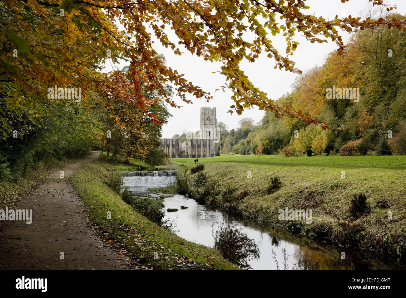 A view along the River Skell in autumn towards Fountains Abbey, North ...