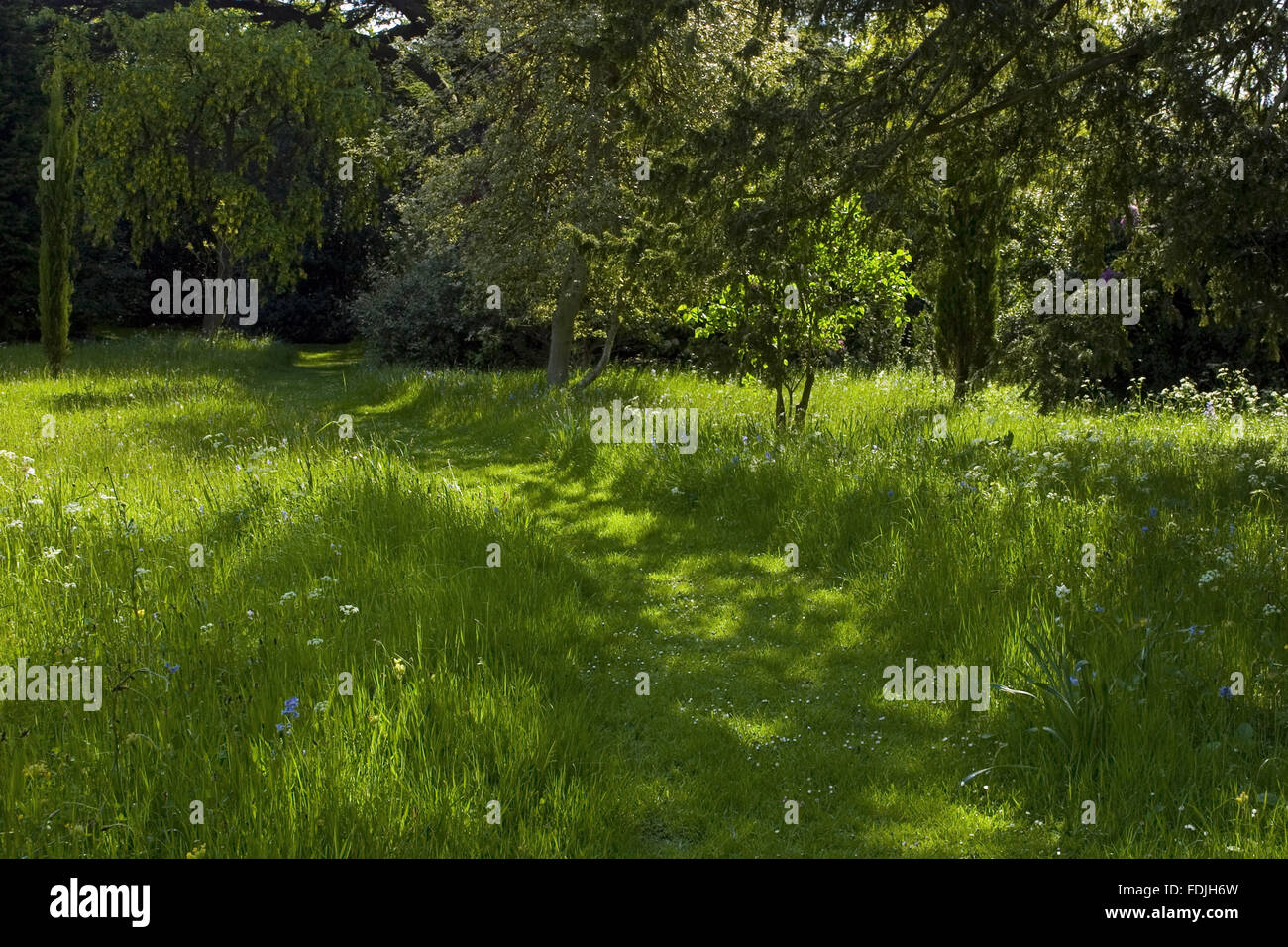 Mown path through meadow hi-res stock photography and images - Alamy